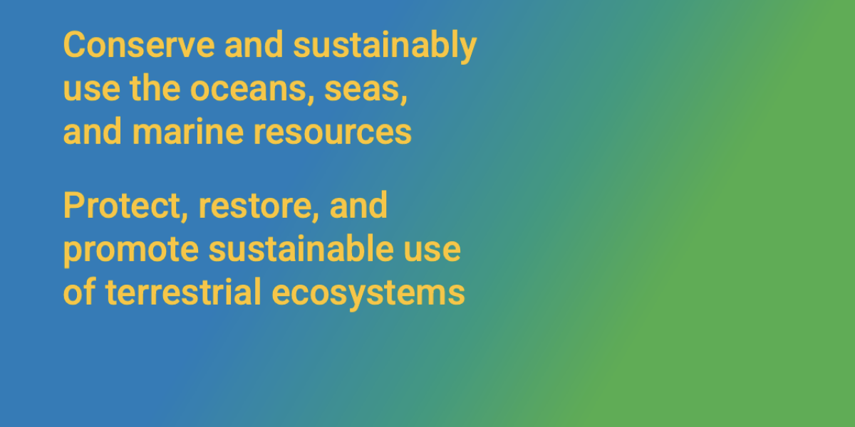 terrestrial ecosystems ppt